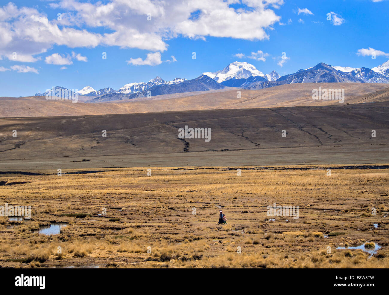 Woman alone walking in the plateau with the Cordillera Real on the back ...