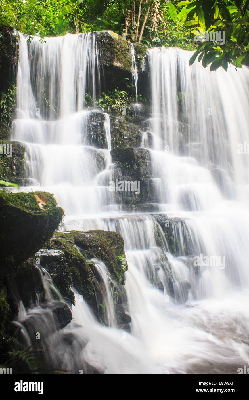 rainforest waterfall and rocks covered with moss Stock Photo - Alamy