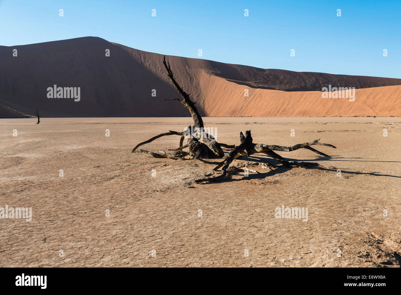 Deadvlei sossusvlei hi-res stock photography and images - Alamy