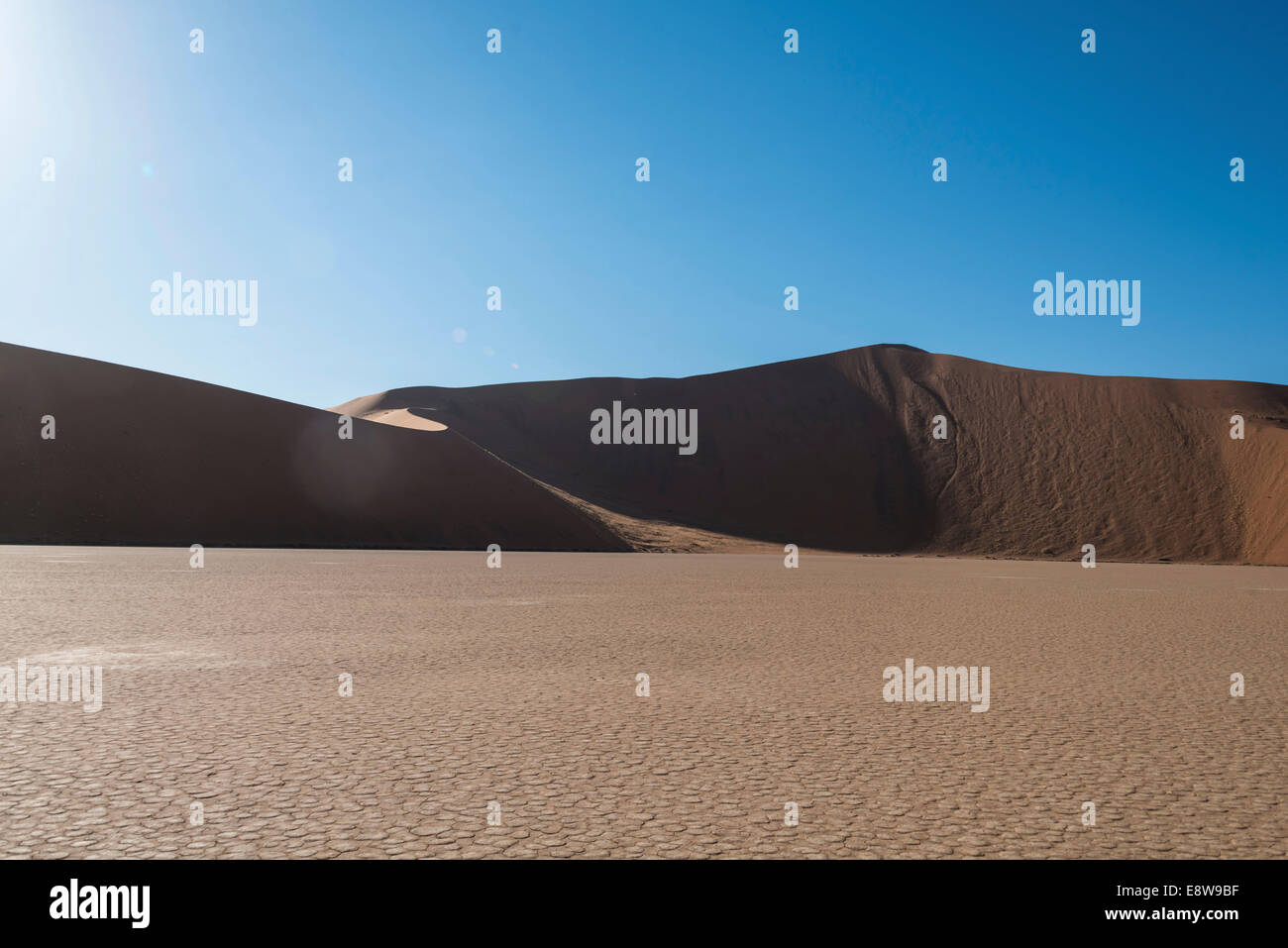 Salt and clay pan, Deadvlei, Sossusvlei, Namib Desert, Namibia Stock ...