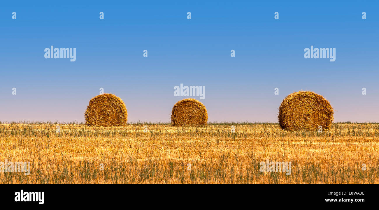 Three hay bales hi-res stock photography and images - Alamy