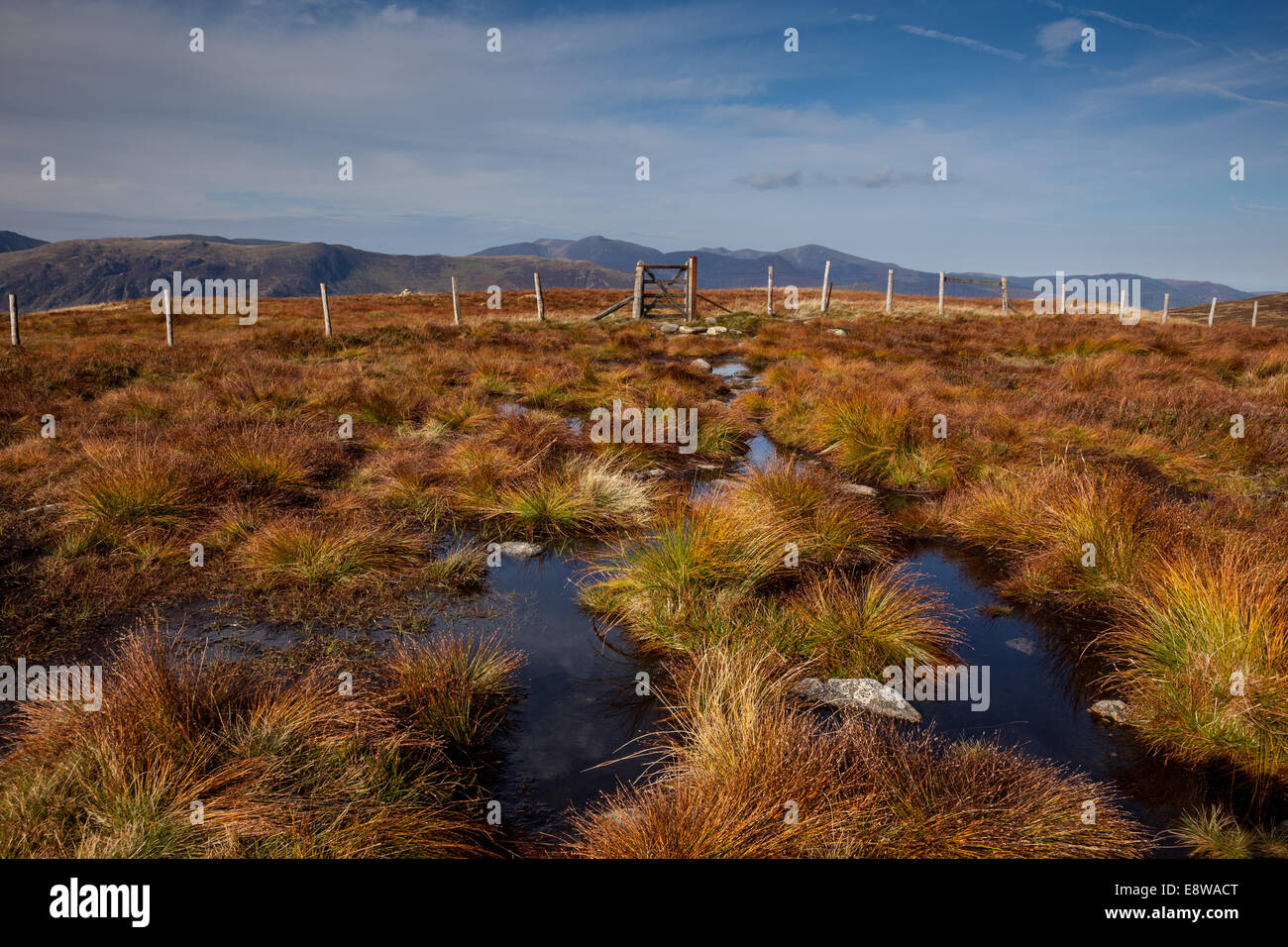 Wet path gate in boundary hi-res stock photography and images - Alamy