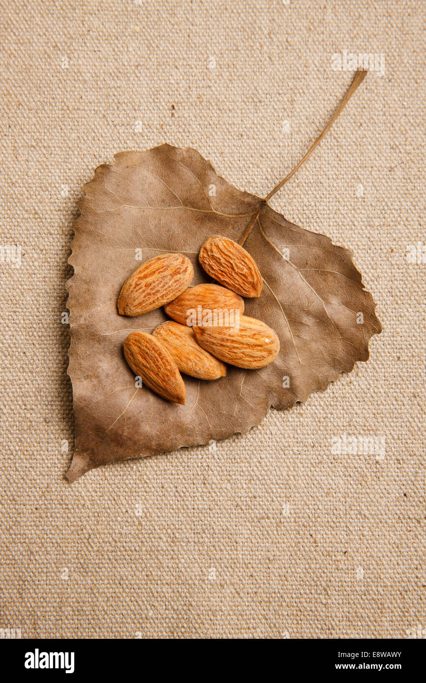 Almond dry leaves hi-res stock photography and images - Alamy