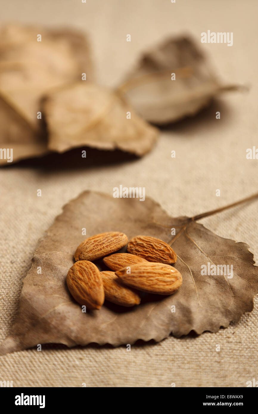 Almond dry leaves hi-res stock photography and images - Alamy