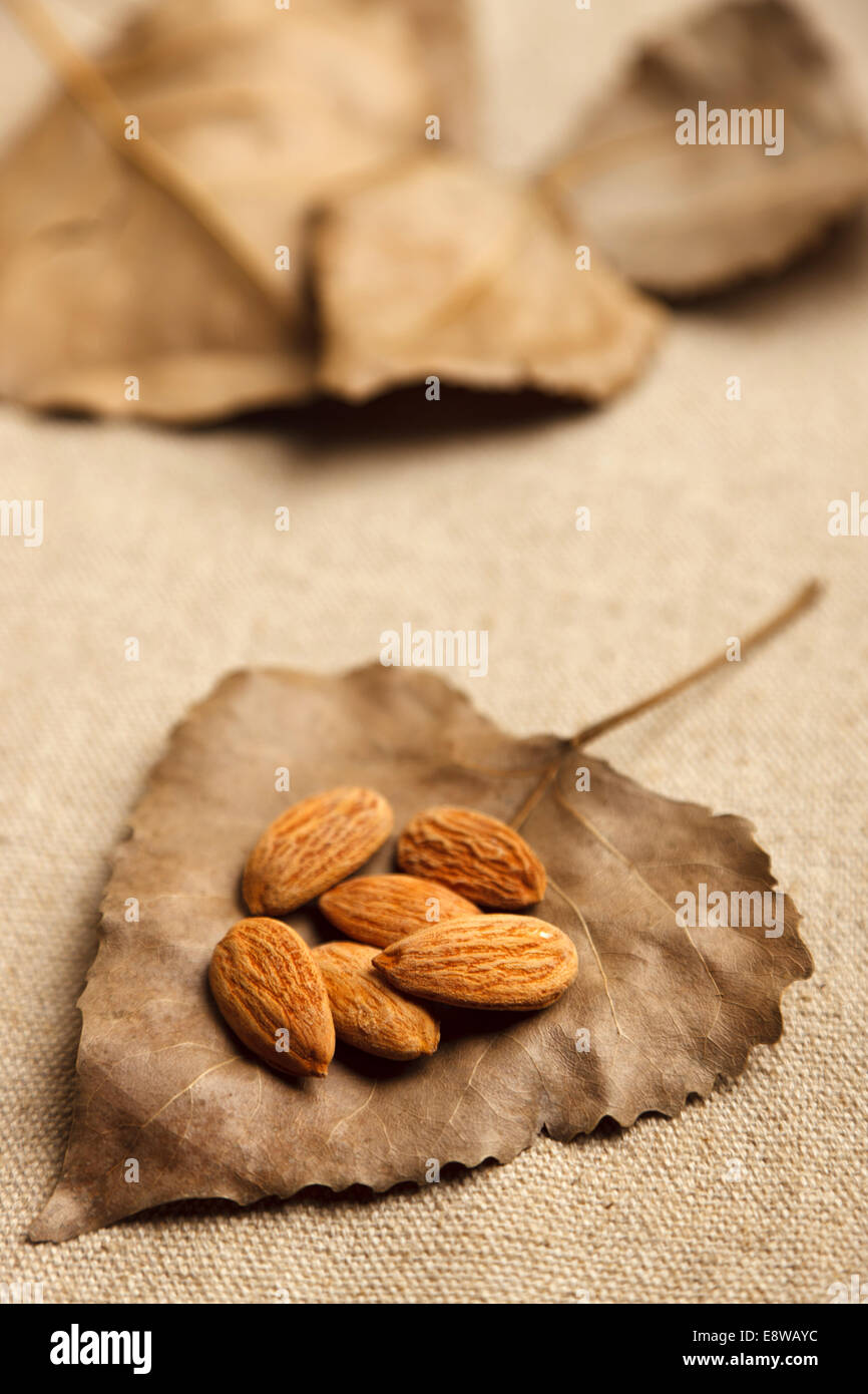 Almond dry leaves hi-res stock photography and images - Alamy