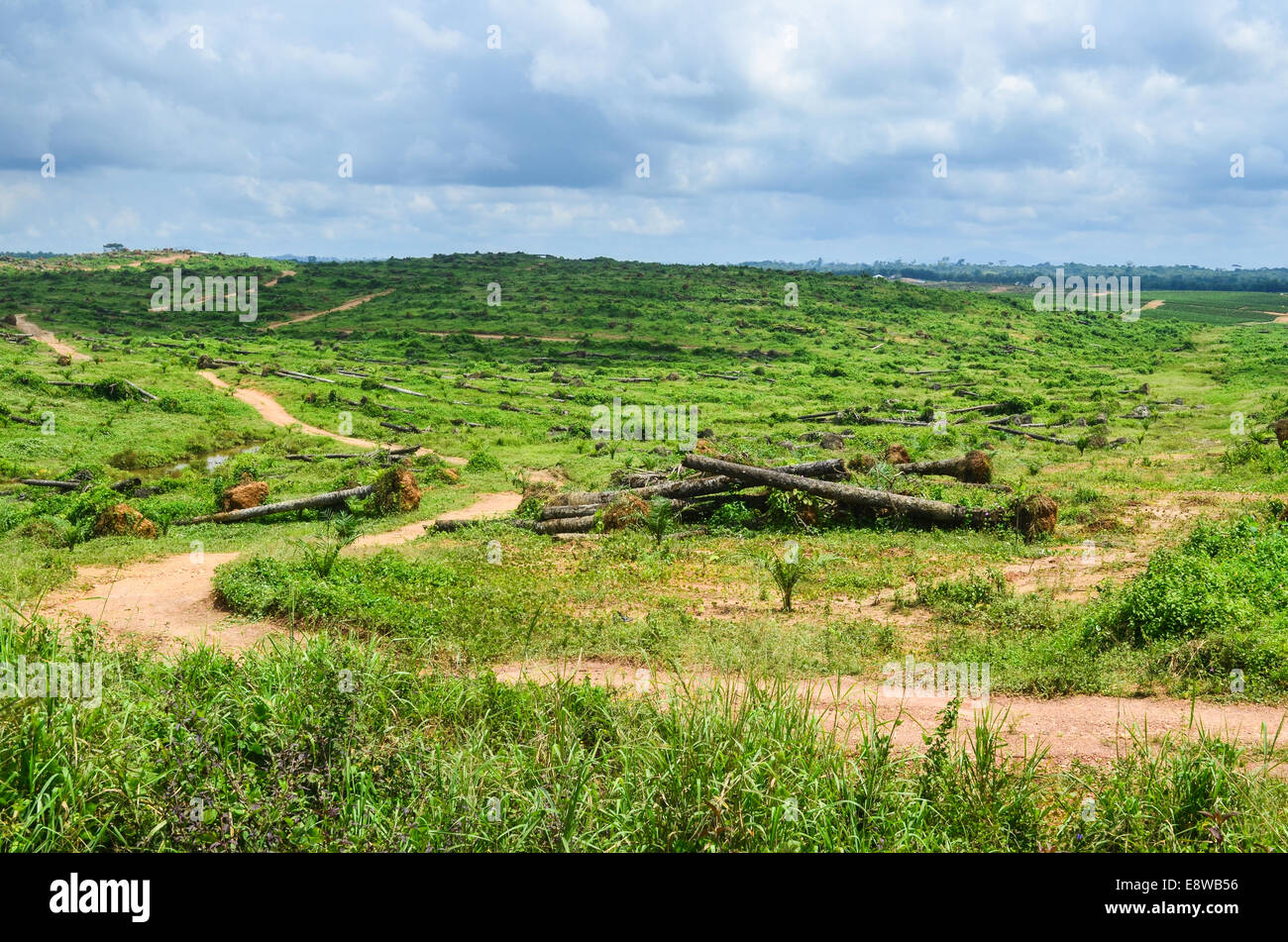 Deforestation africa hi-res stock photography and images - Alamy