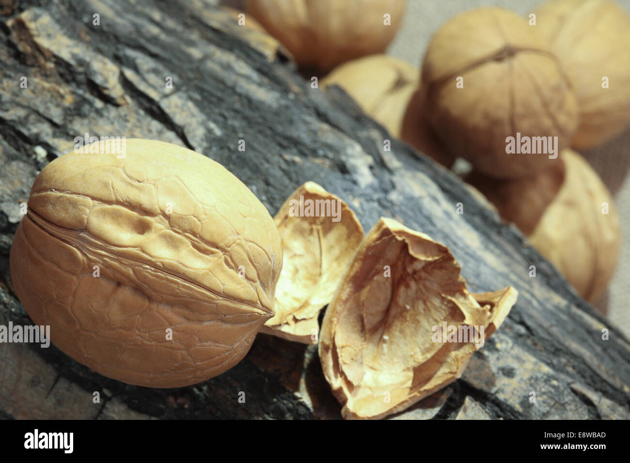 Walnut tree preparation hi-res stock photography and images - Alamy