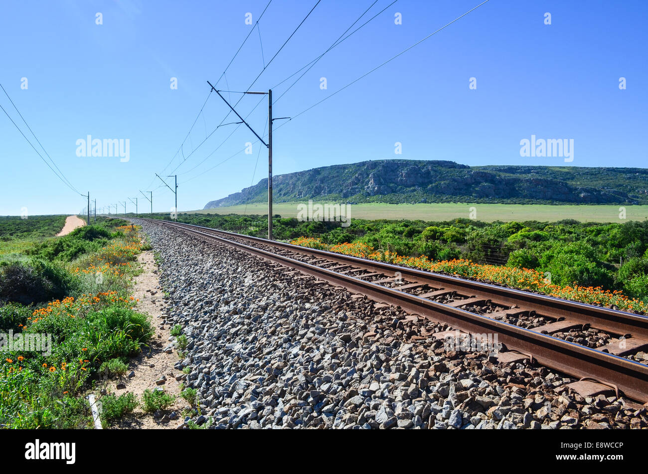 Africa train hi-res stock photography and images - Alamy
