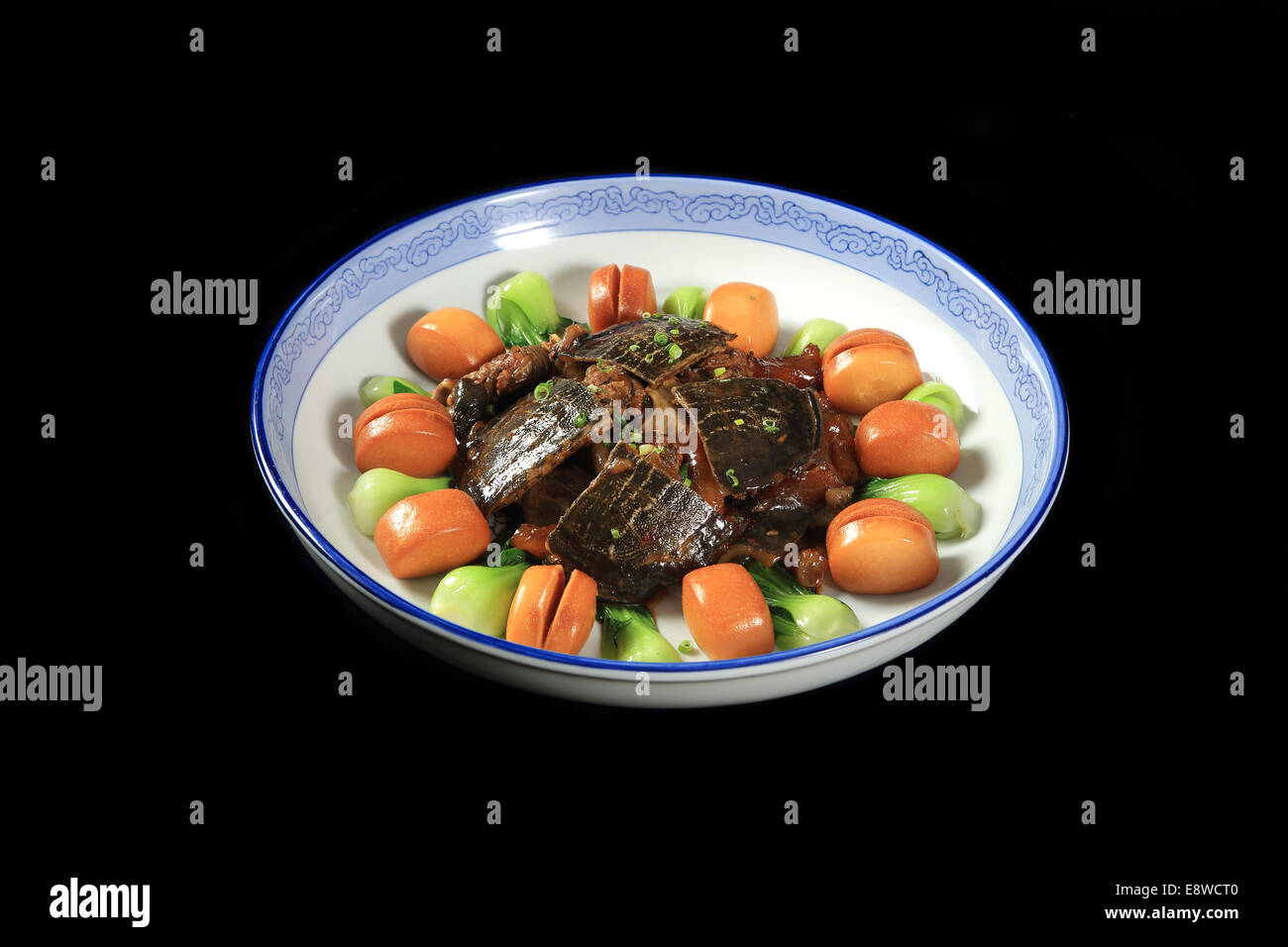 Snapping turtle close up shot hi-res stock photography and images - Alamy