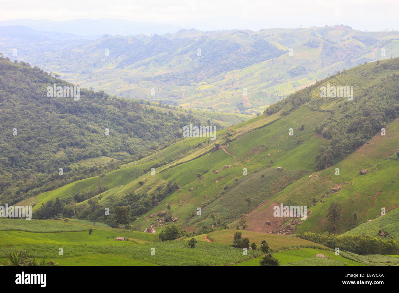 fields in the mountains, agricultural fields view Stock Photo - Alamy