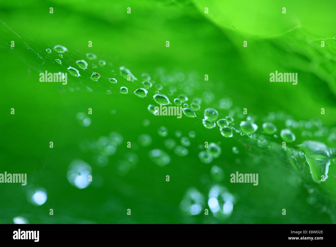 Mid drops hi-res stock photography and images - Alamy