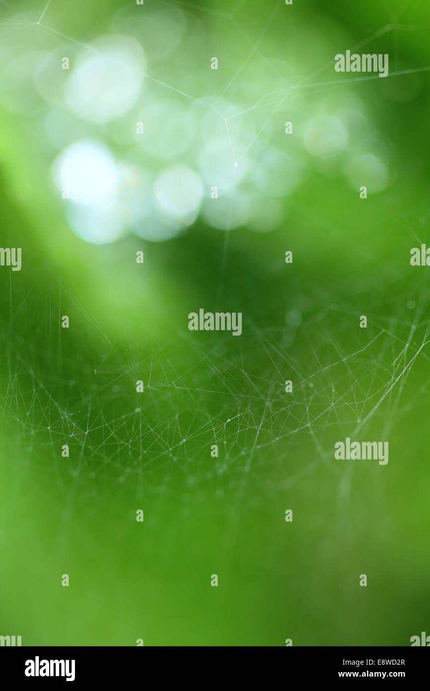 Mid drops hi-res stock photography and images - Alamy