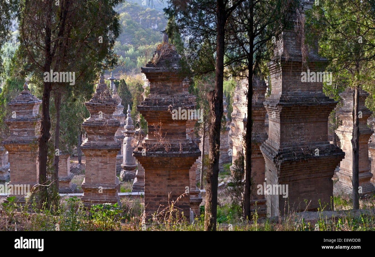 Henan Shaolin Temple Stock Photo - Alamy