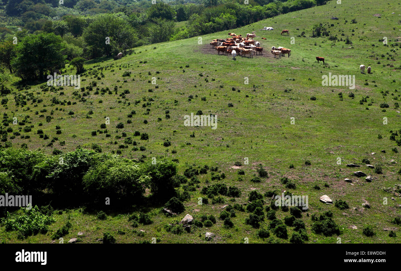 Angle ranch hi-res stock photography and images - Alamy
