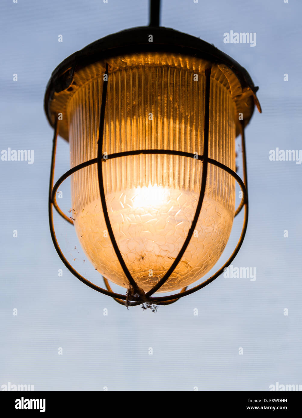 Lamp and insects hi-res stock photography and images - Alamy