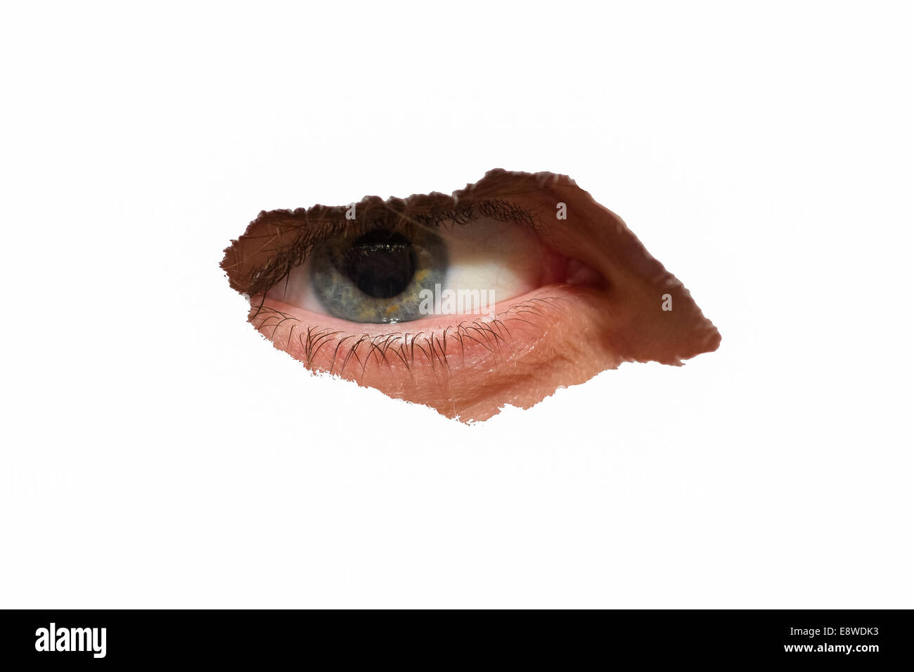 Surveillance visibility Cut Out Stock Images & Pictures - Alamy