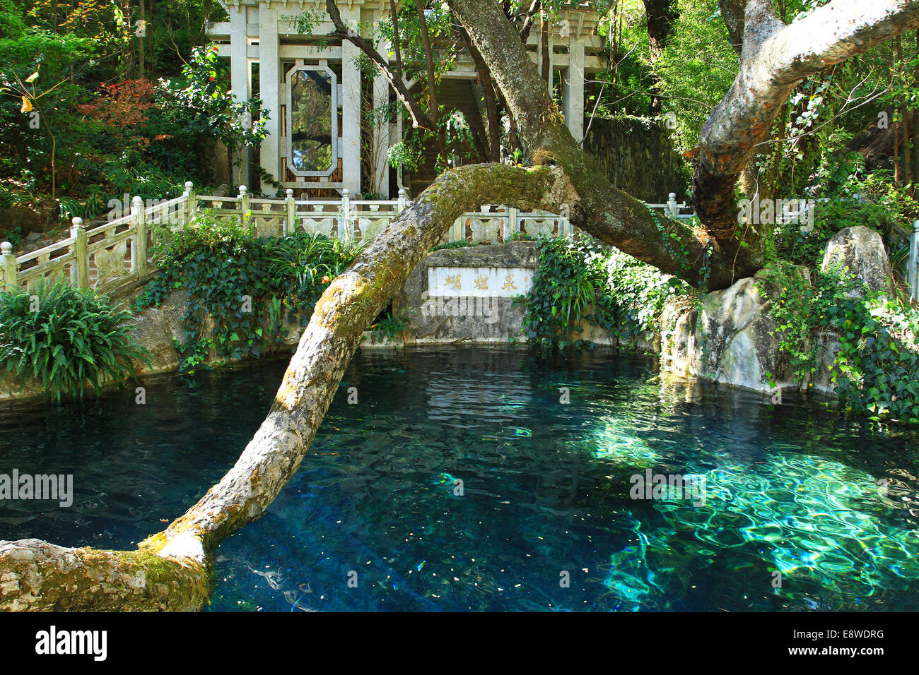 Dali butterfly spring scenery hi-res stock photography and images - Alamy