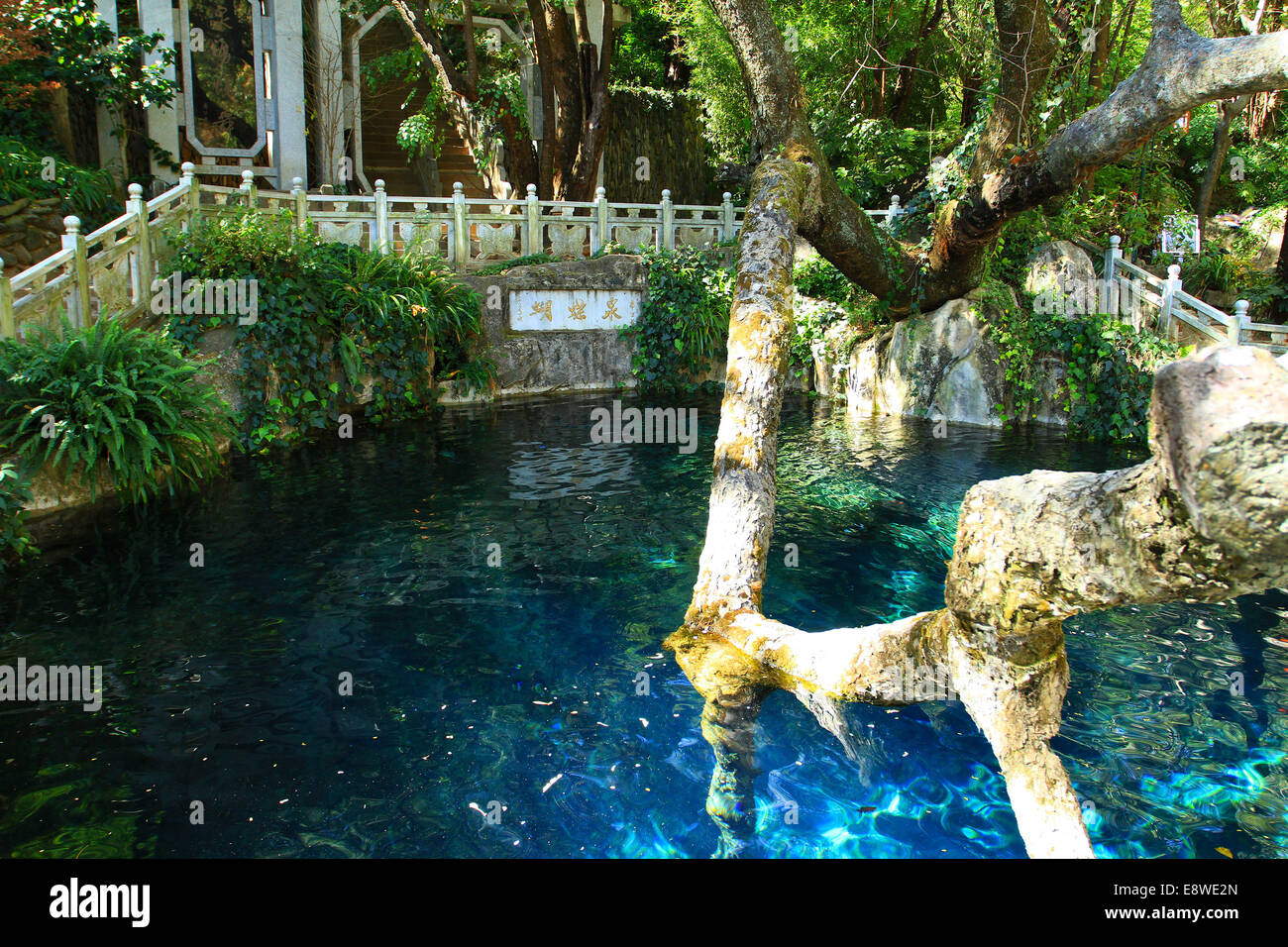 Dali Butterfly Spring scenery Stock Photo - Alamy