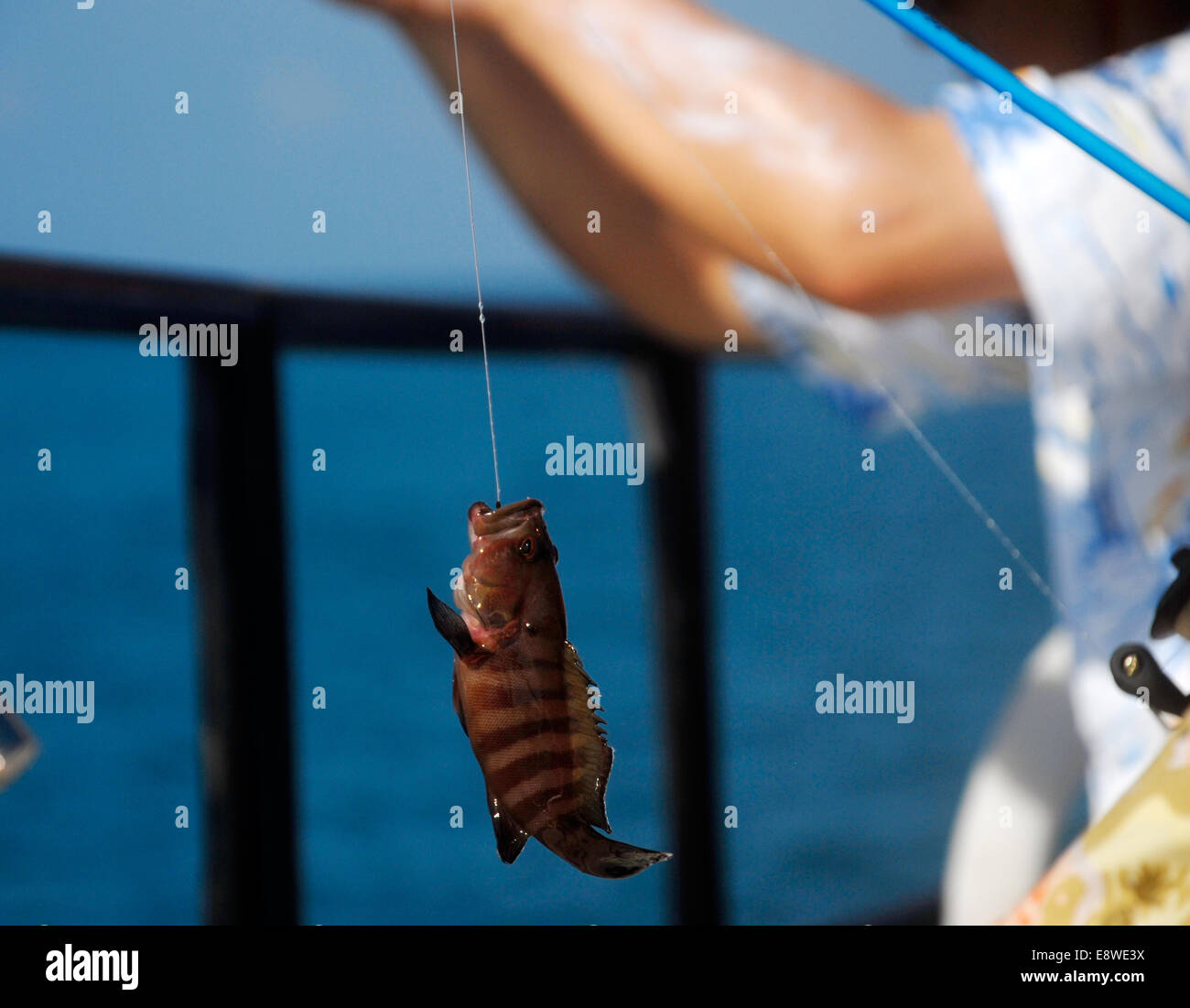 Hainan Sanya Yalong Bay fishing Stock Photo - Alamy
