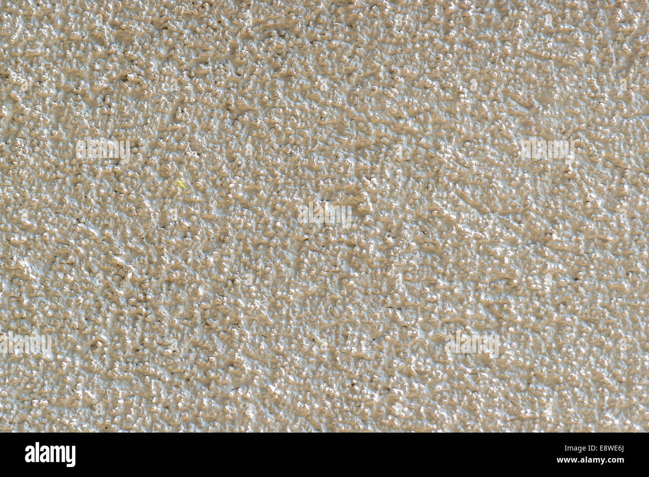 Rough cast texture. Closeup view of a wall with a rough surface Stock ...