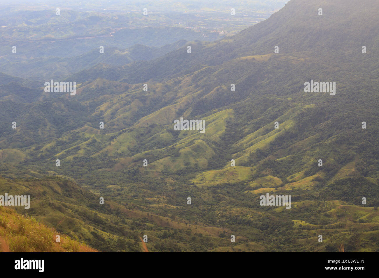 beautiful green mountains and forest on top veiw Stock Photo - Alamy