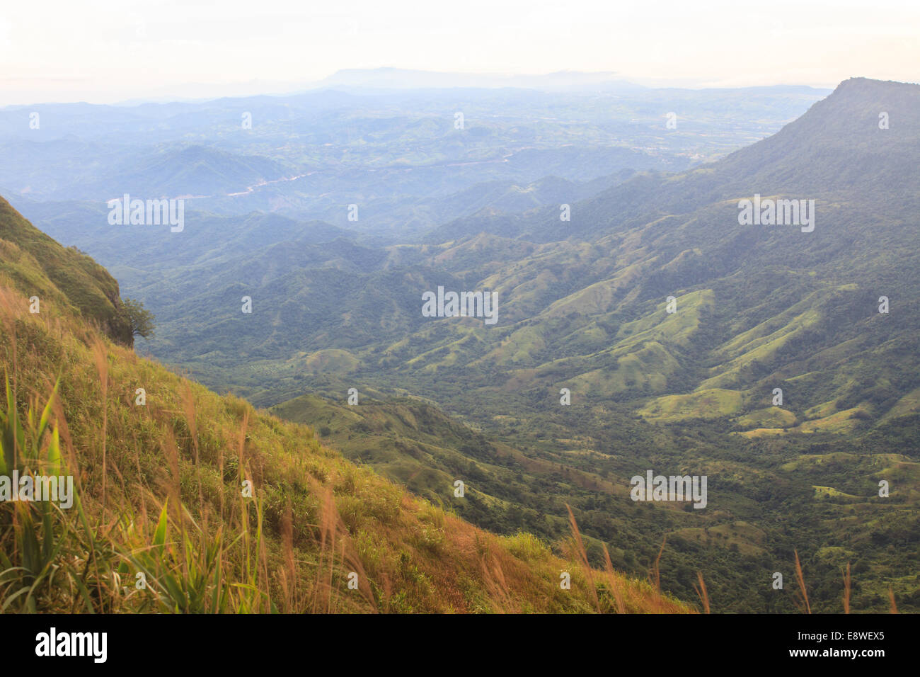 beautiful green mountains and forest on top veiw Stock Photo - Alamy