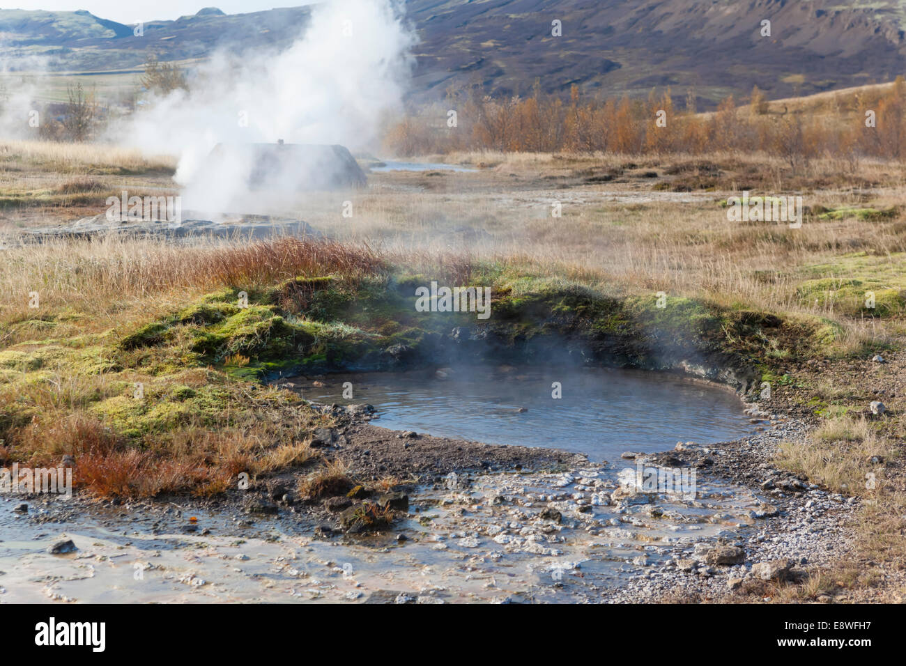 Steam vents and pools of boiling water bubble away across Iceland's ...