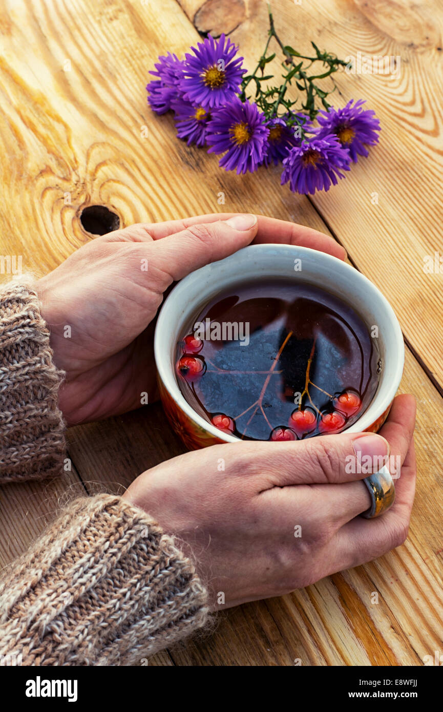 hands with a mug autumn fruit tea Stock Photo - Alamy