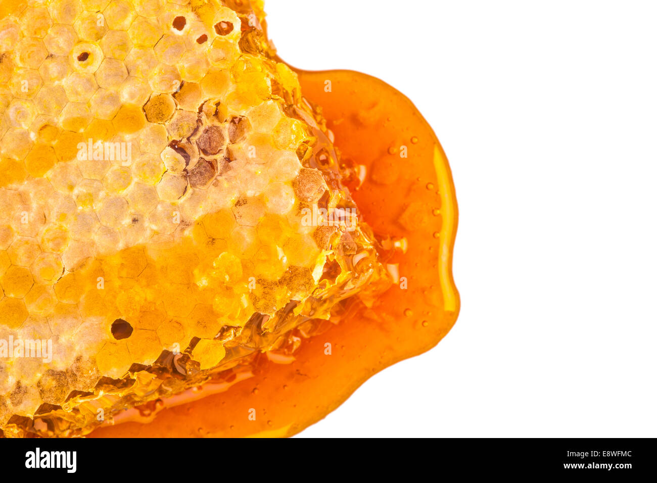 Close up honeycombs full honey hi-res stock photography and images - Alamy