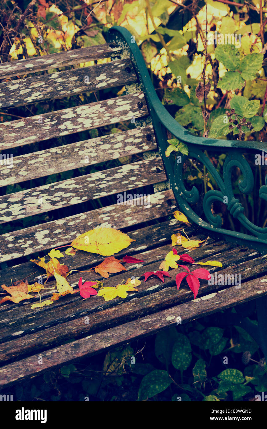 Autumn leaves on a park bench. Vintage style Stock Photo - Alamy