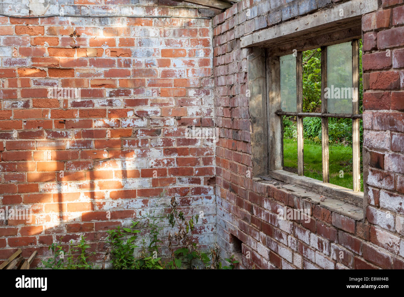 Interior brick wall of the derelict hi-res stock photography and images ...