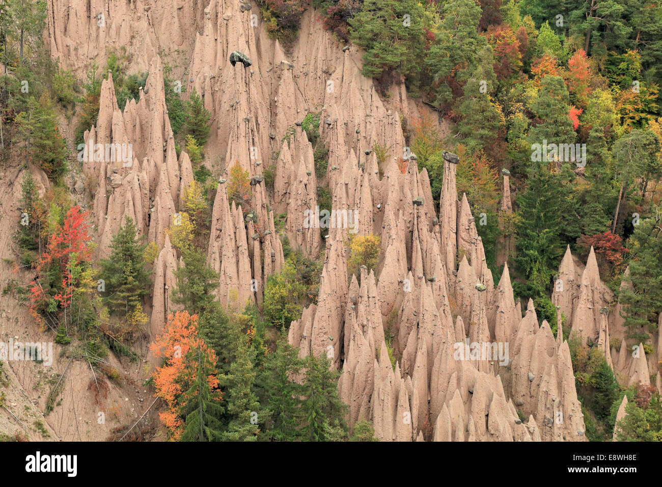 Earth pyramids Renon Stock Photo - Alamy