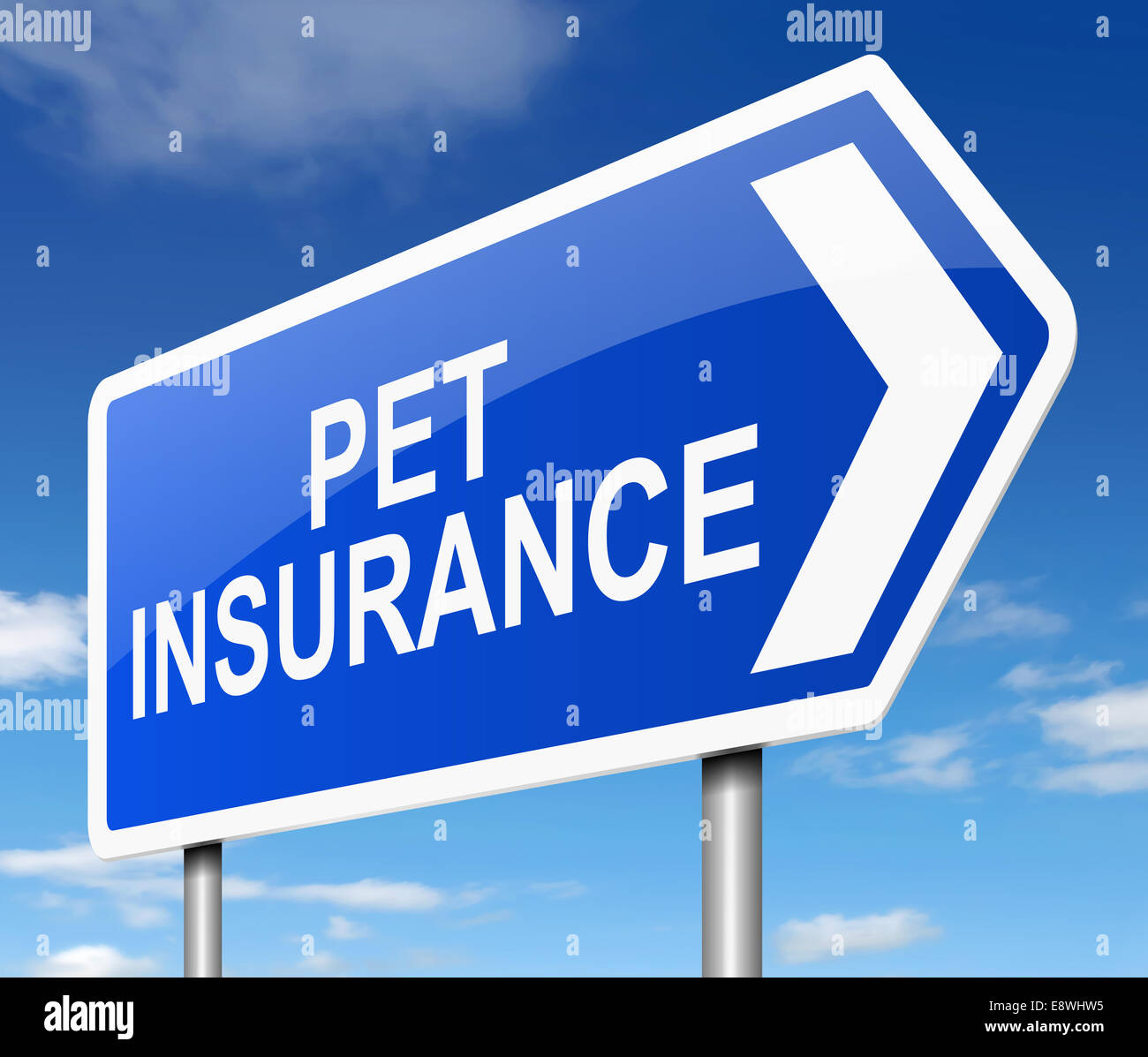 Pet insurance concept Stock Photo - Alamy
