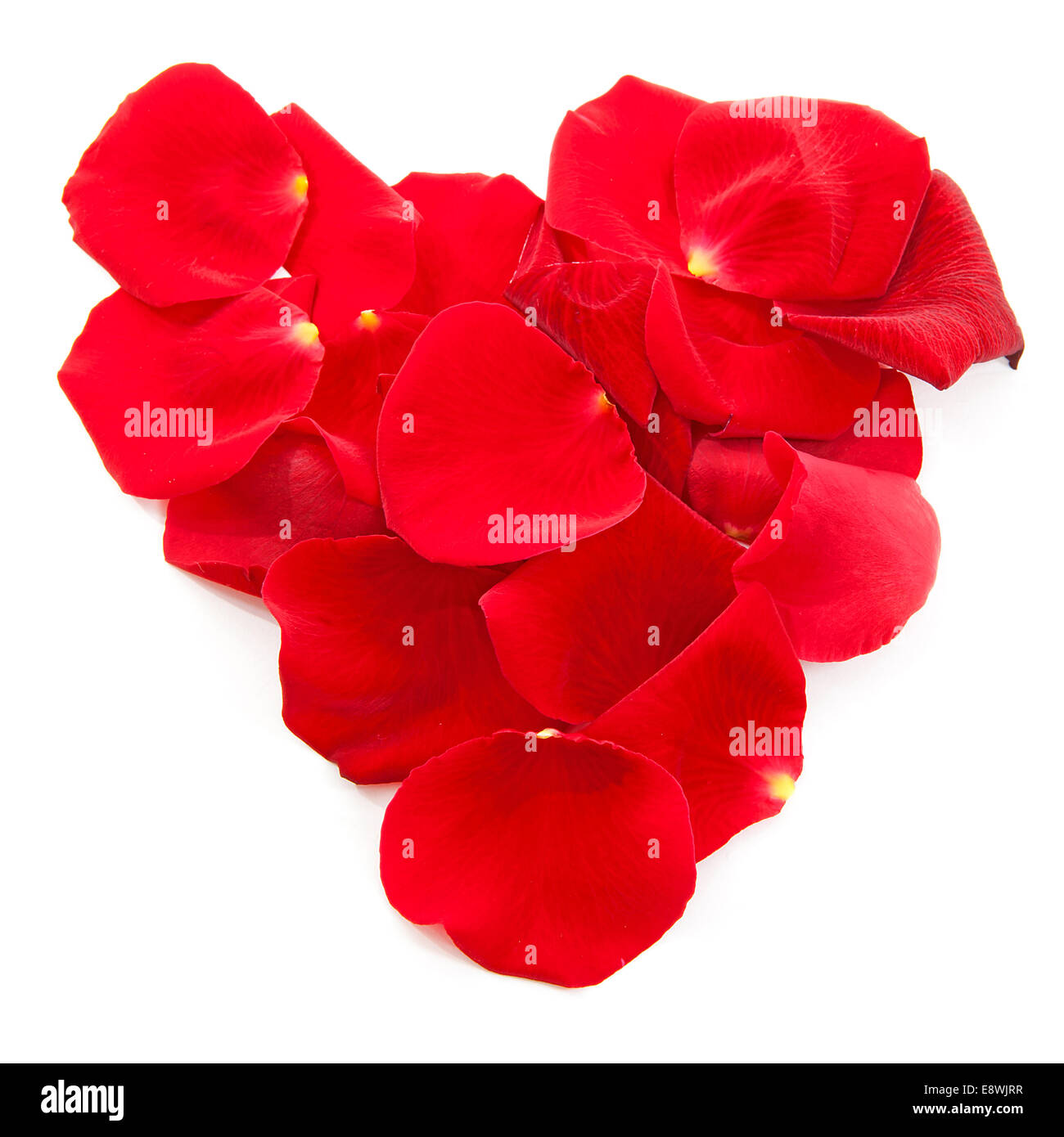 Red heart flowers isolated Cut Out Stock Images & Pictures - Alamy