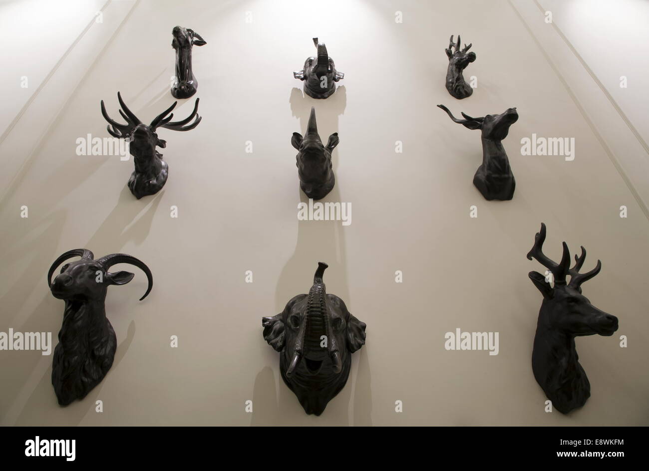 Room with a wall full of hunting animal trophy heads Stock Photo - Alamy