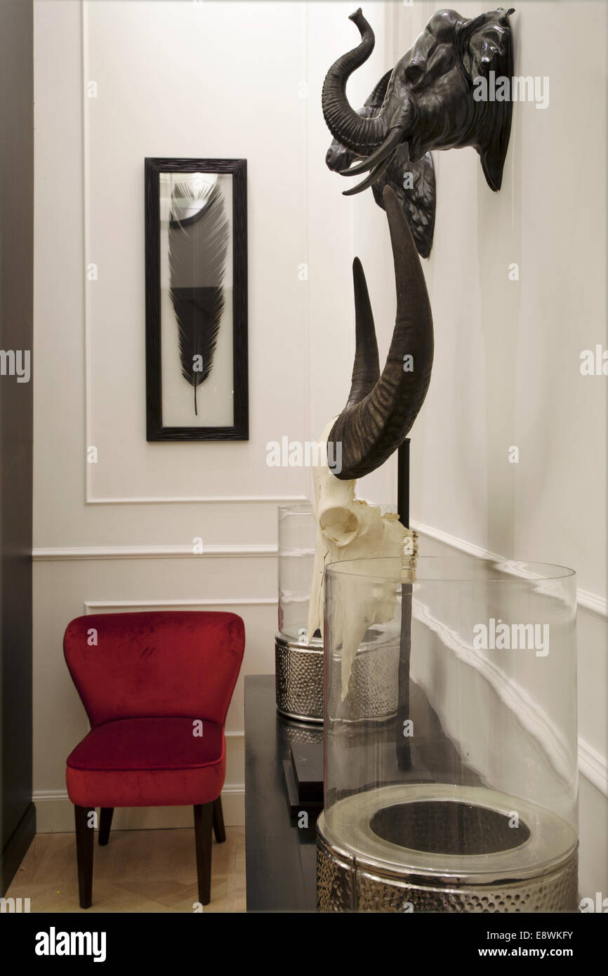 Trophy heads hi-res stock photography and images - Alamy