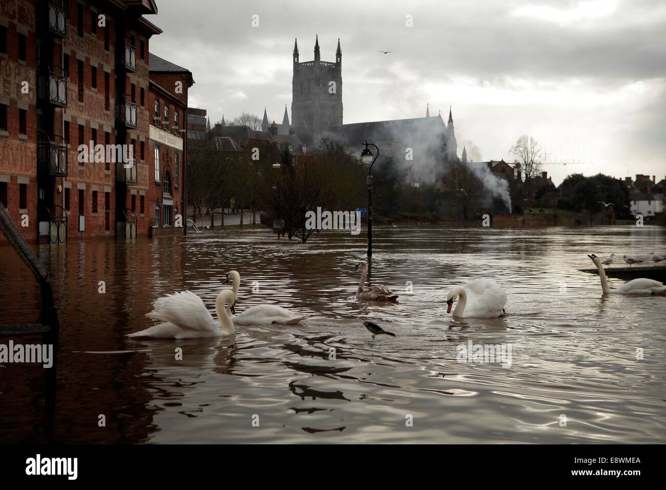 Flooding Worcester as the river severn bursts its banks Stock Photo - Alamy