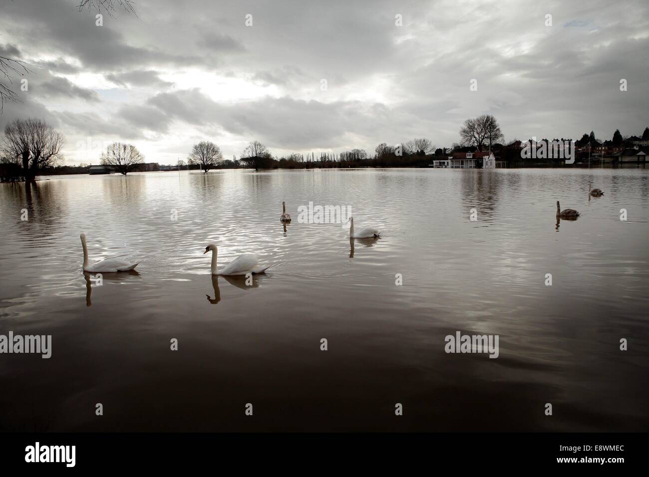 Flooding Worcester as the river severn bursts its banks Stock Photo - Alamy