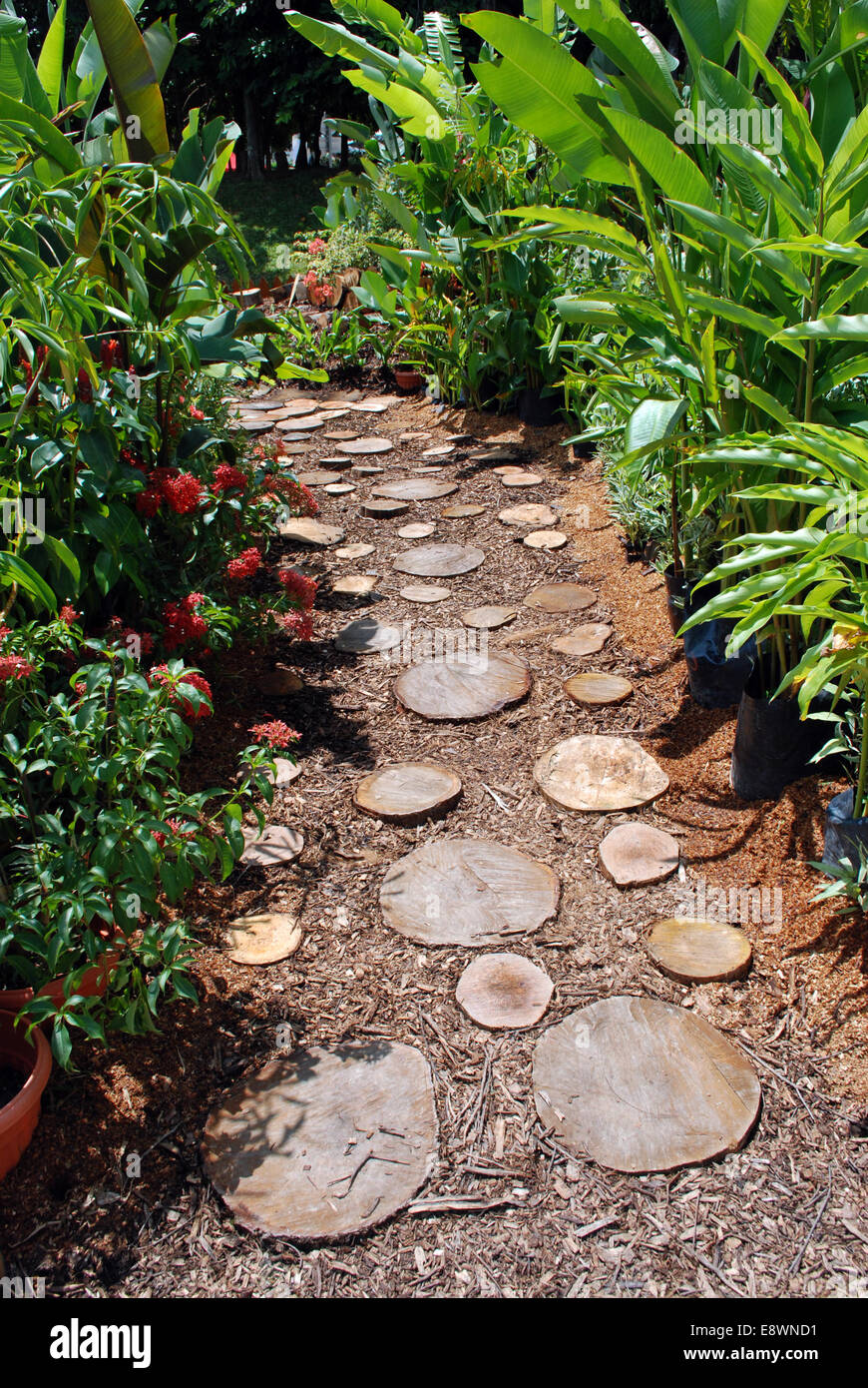 Wood foot blocks hi-res stock photography and images - Alamy