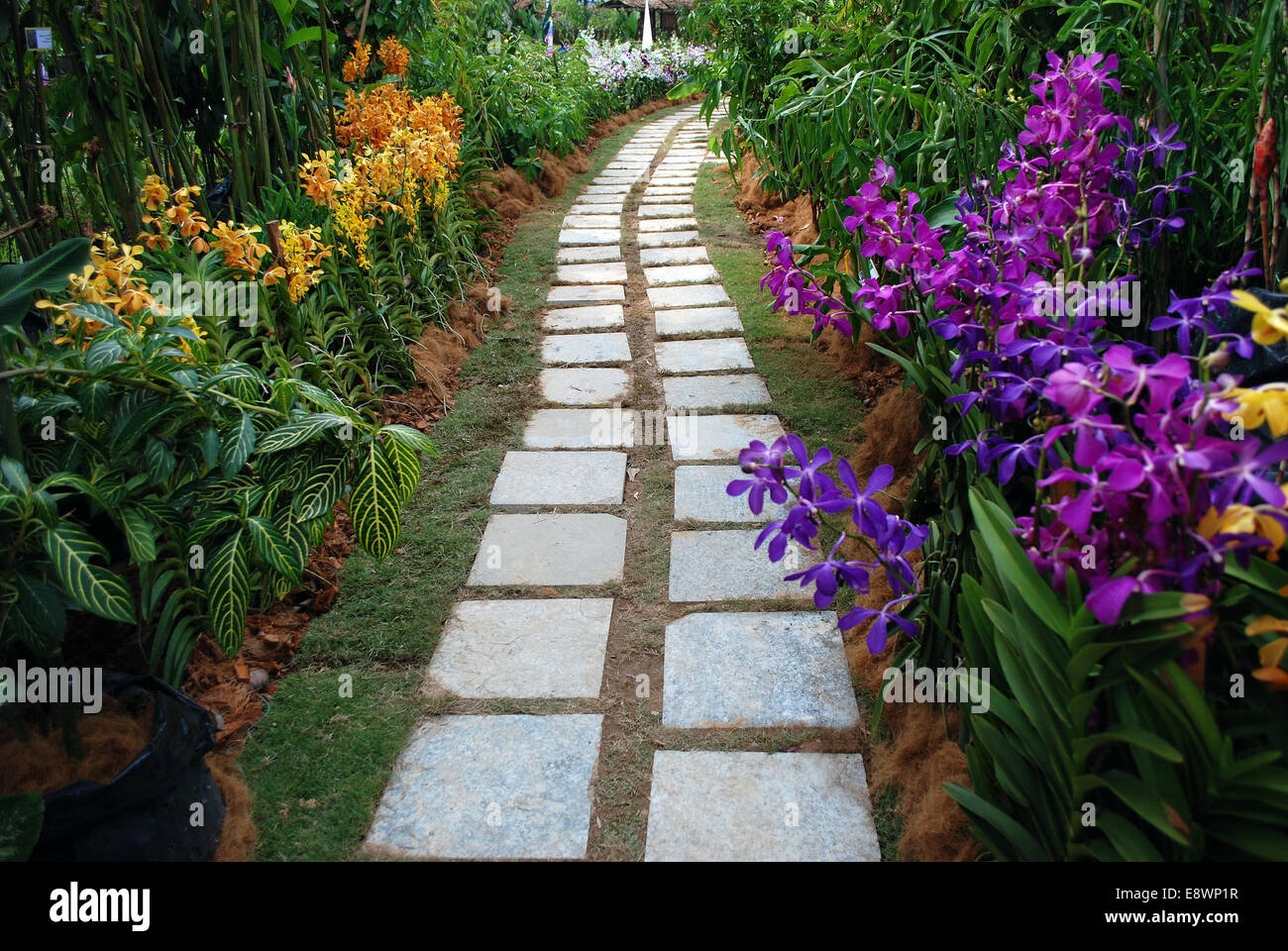 Concrete garden path hi-res stock photography and images - Alamy