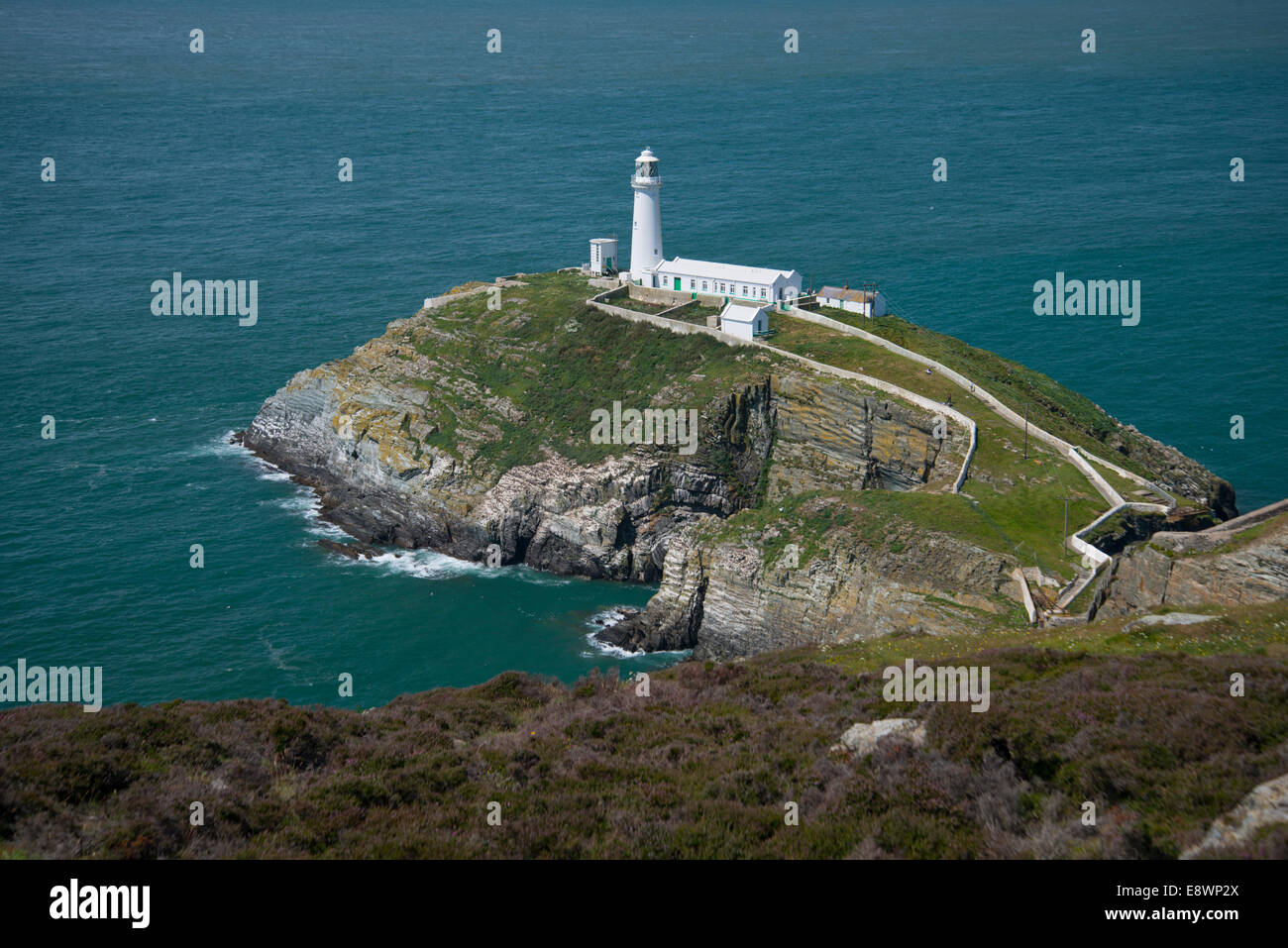 South Stack. RSPB Reserve, Anglesey, Wales. Lighthouse Stock Photo - Alamy