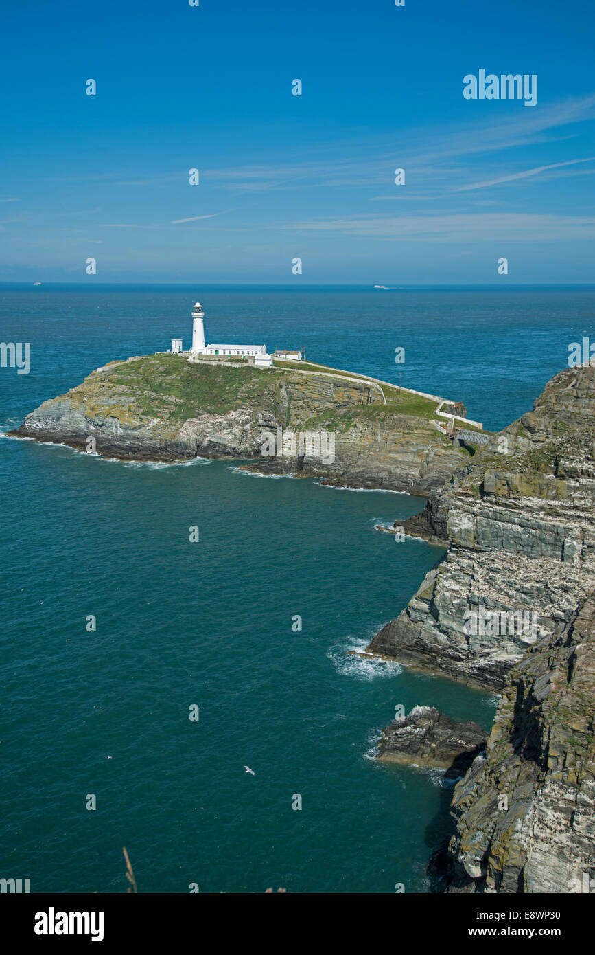 South Stack. RSPB Reserve, Anglesey, Wales. Lighthouse Stock Photo - Alamy