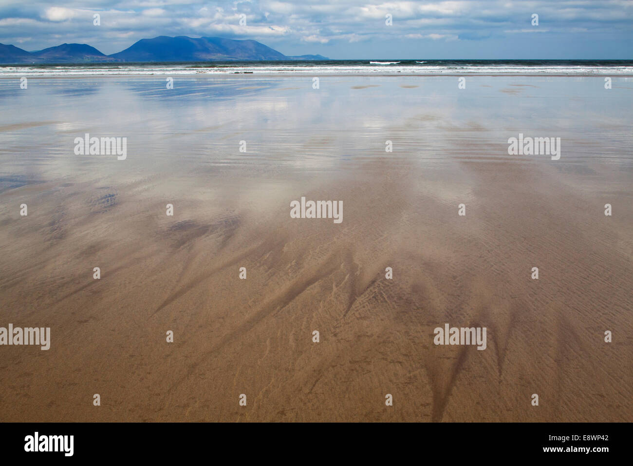 Low Tide on Inch Strand, Dingle Peninsula, County Kerry Ireland Stock ...