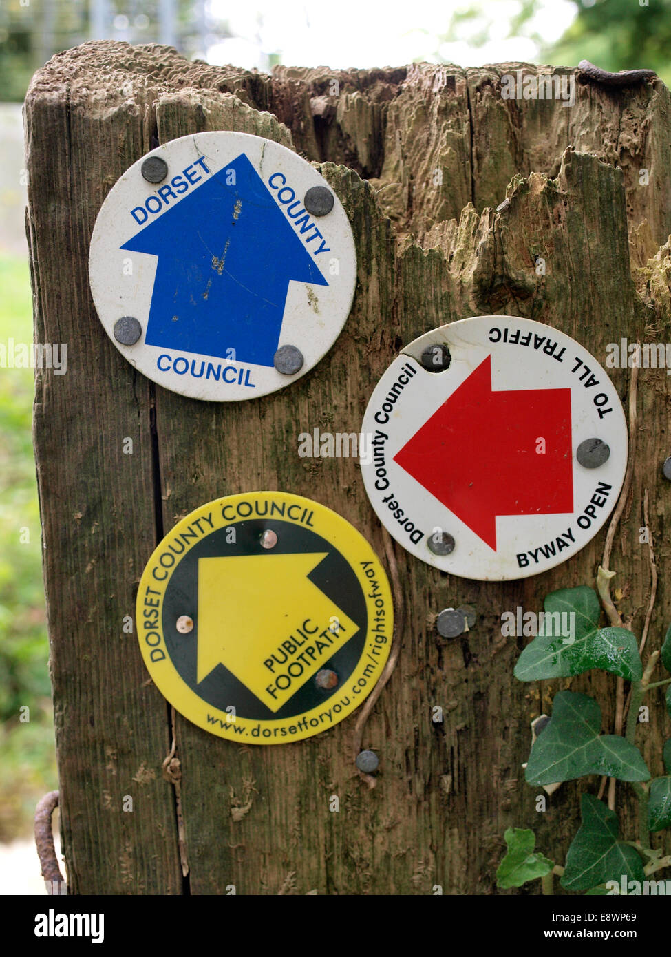 Dorset County Council footpath and byway signs, Chettle, Dorset, UK ...
