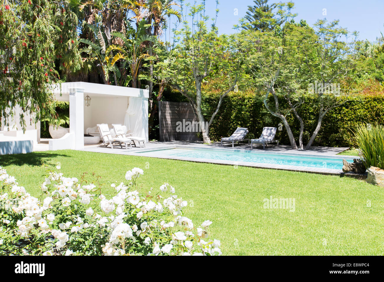 Swimming pool and backyard of modern house Stock Photo - Alamy