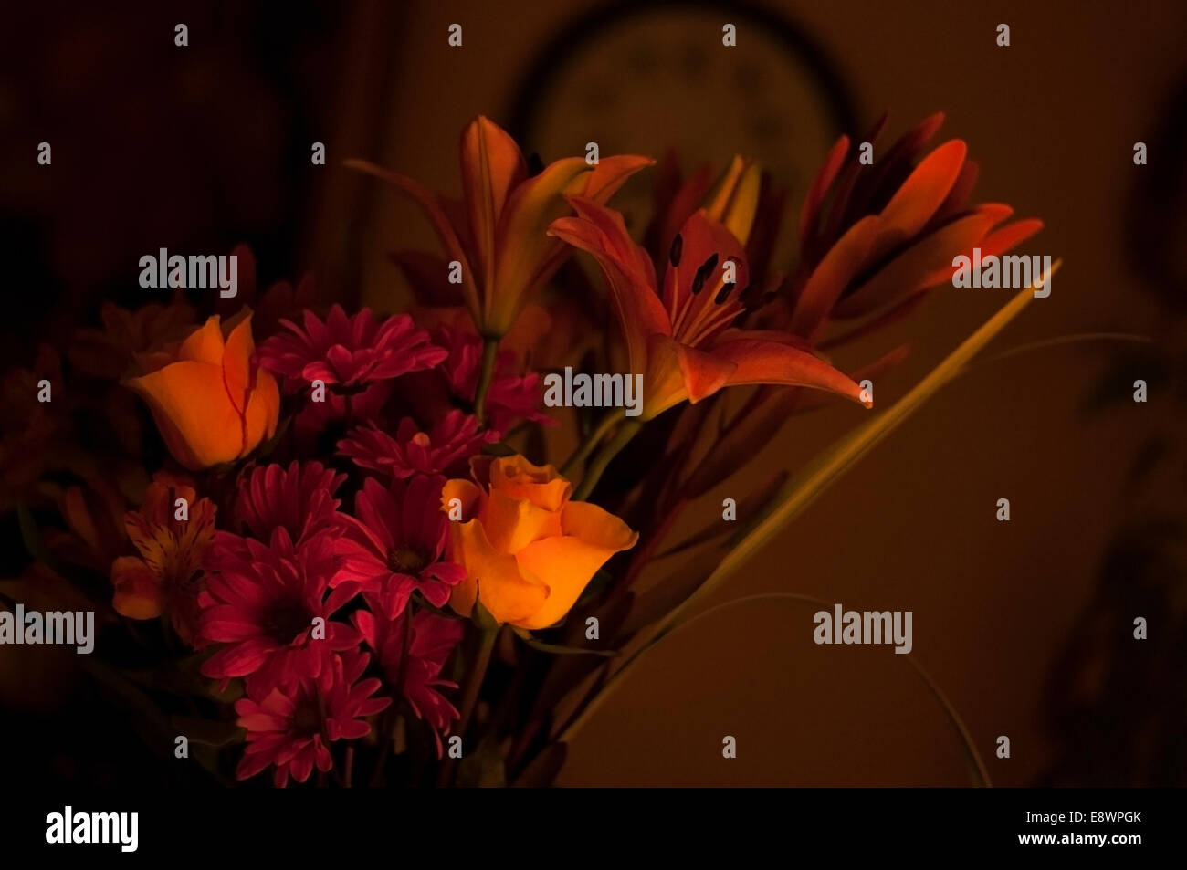 Warm flower hi-res stock photography and images - Alamy