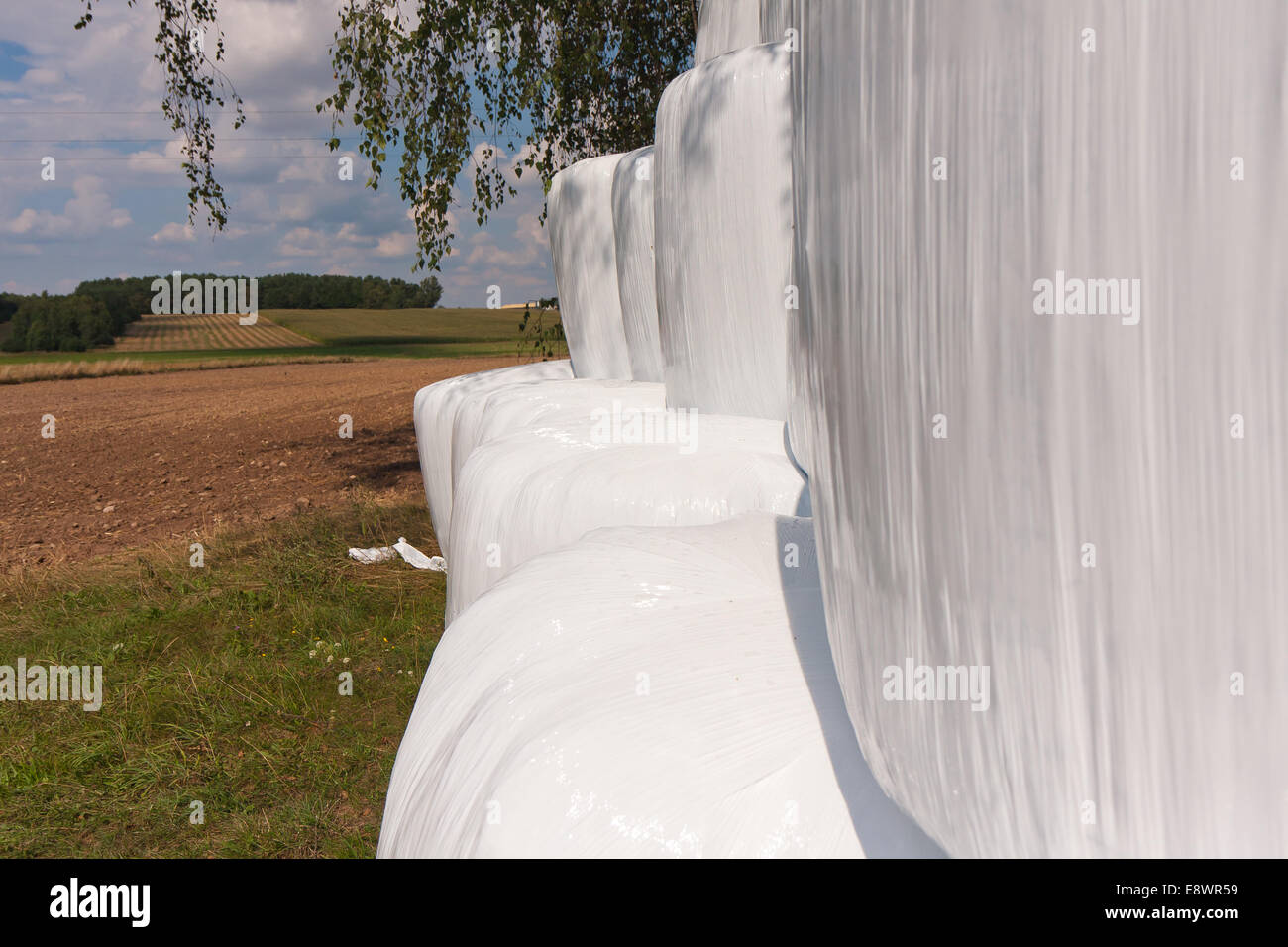 Packed straw. Agriculture of eastern Poland Stock Photo - Alamy