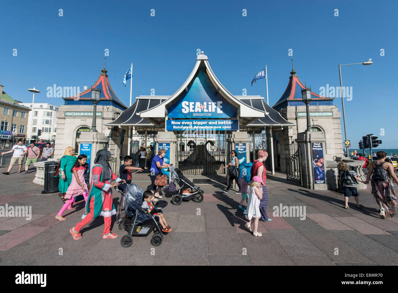 Travel / tourist images of Brighton and Hove, sussex, england, sea ...