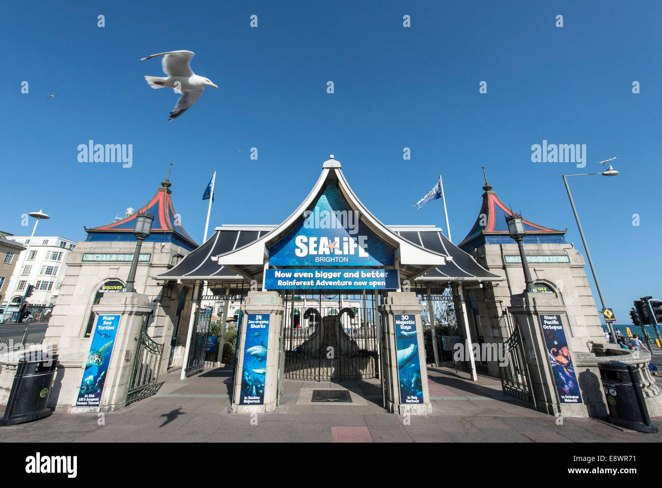 Travel / tourist images of Brighton and Hove, sussex, england, sea ...