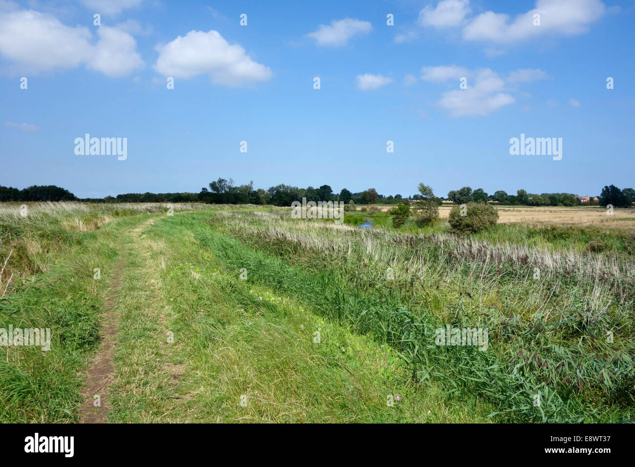 The great fen restoration hi-res stock photography and images - Alamy